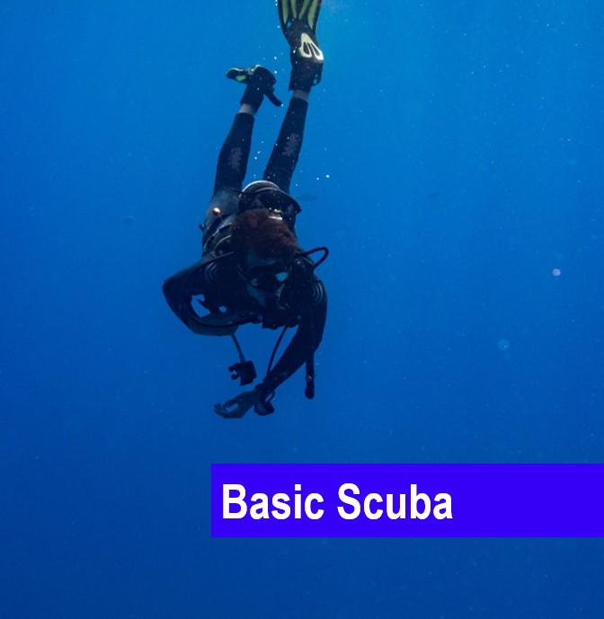 NAUI Basic Level Scuba Diver